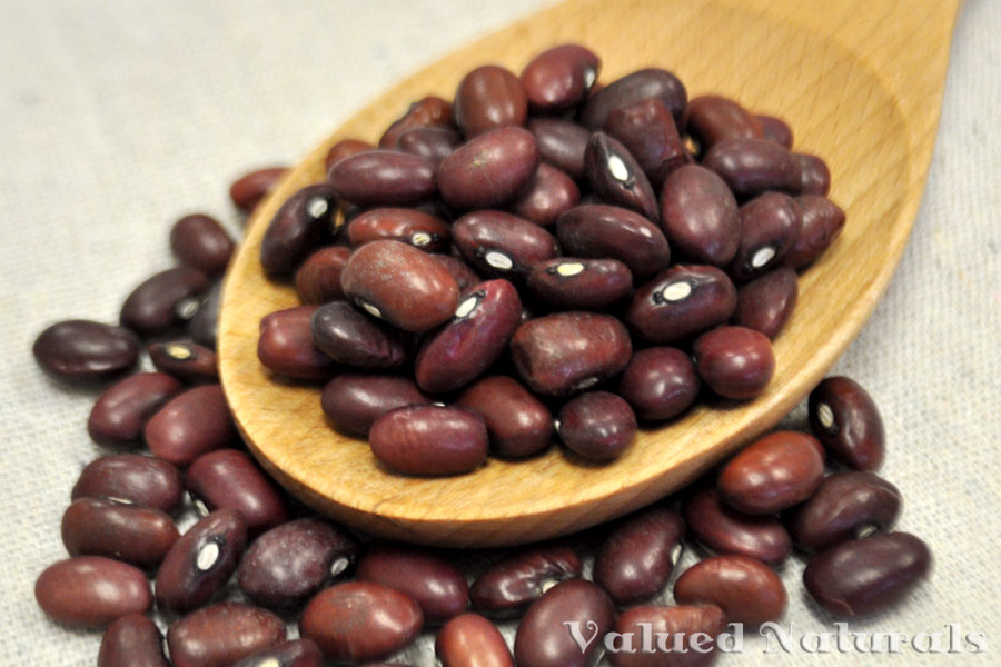 Wholesale Red Beans for caterers, markets, and restaurants.