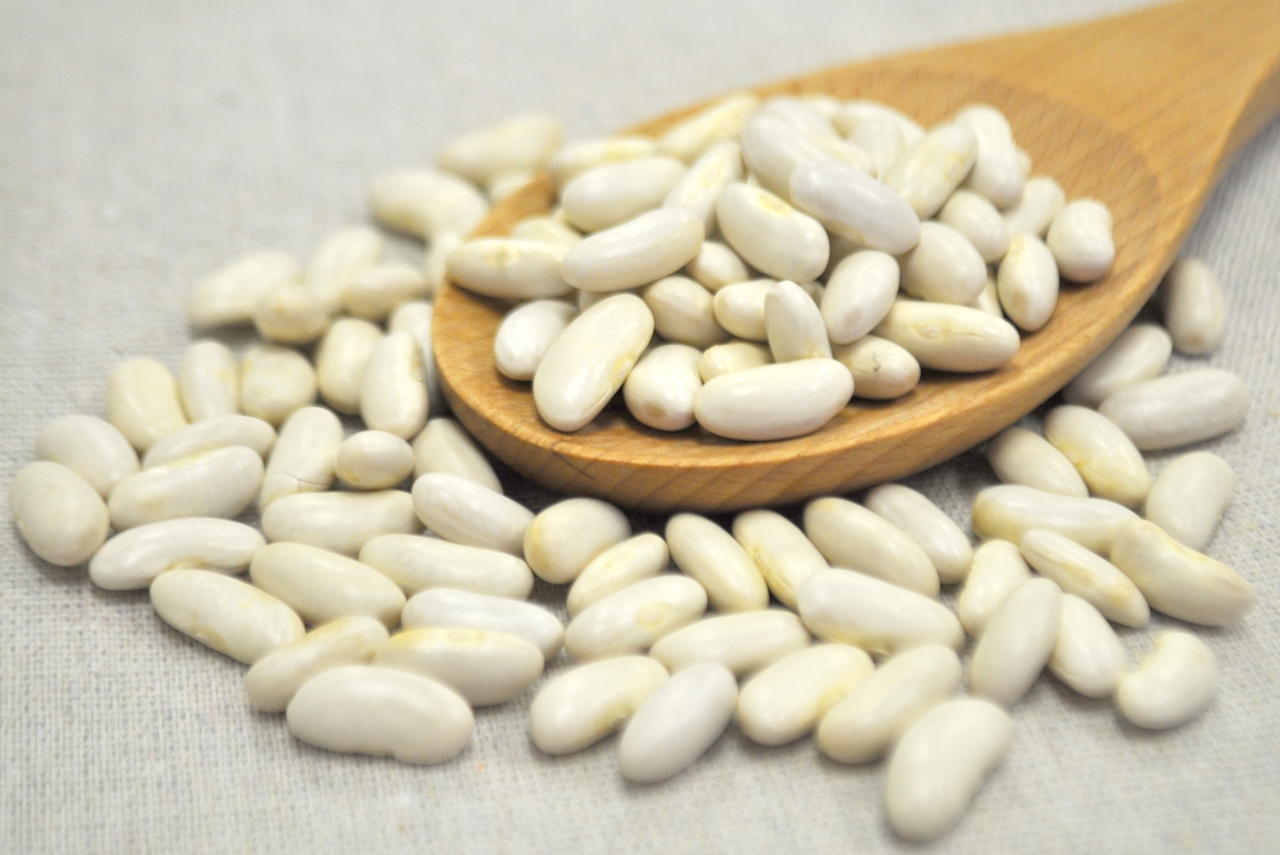 Wholesale Cannellini Beans For Bulk Soups And Side Dishes.