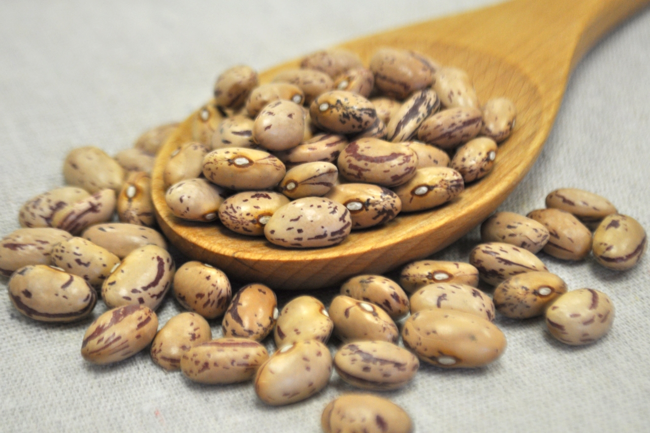 Wholesale Cranberry Beans sold in 25 pound containers.